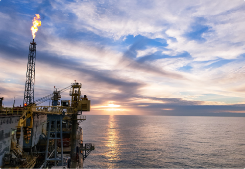 Vertech New Zealand: Specialist Integrity Services Provider