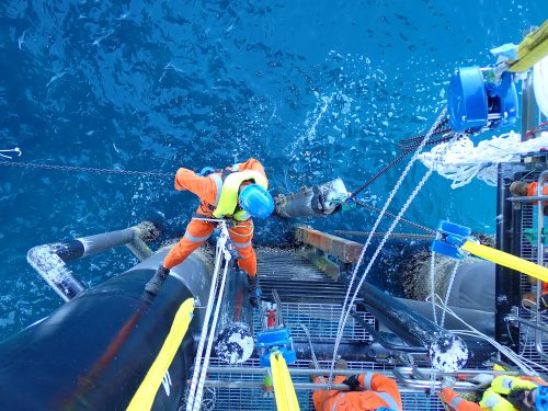 FIXED PLATFORM SPLASH ZONE COATINGS REMEDIATION - Vertech NZ